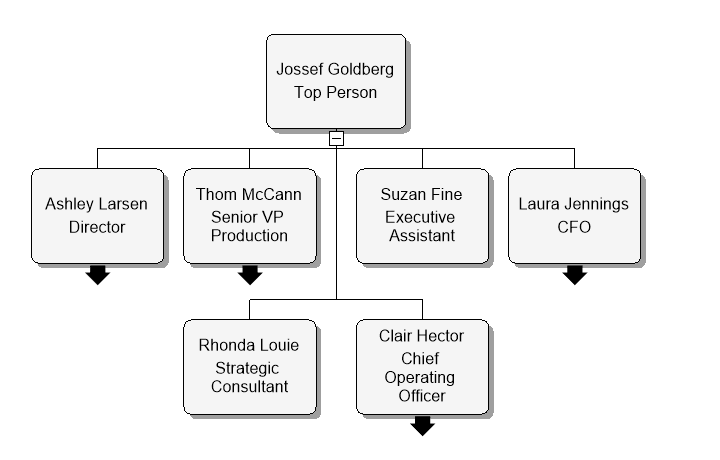 Org Charting With Excel OrgChart UK